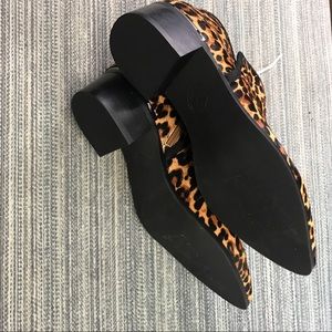 Treasure & Bond | Shoes | Treasure Bond Animal Print Ankle Shoes 75 ...